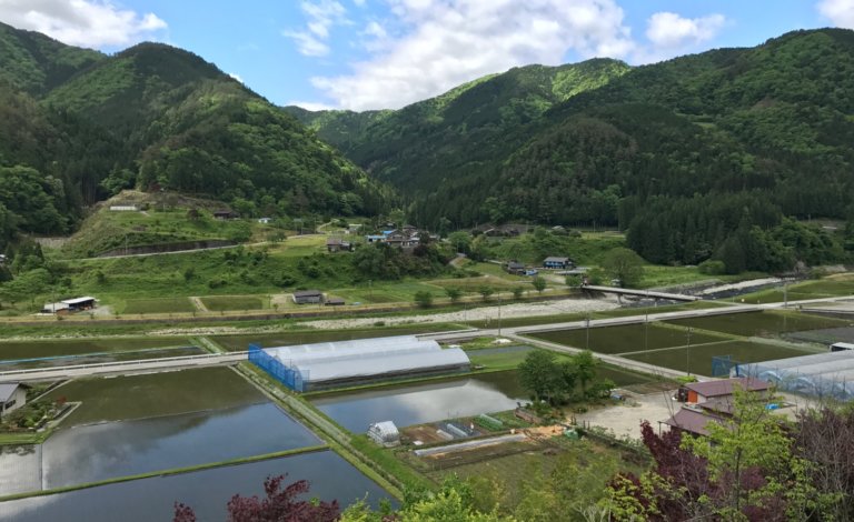 Maze - the best place to see the nature of Gero | Gerocal Tour